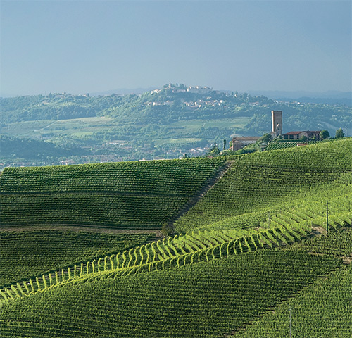 Vigneti patrimonio UNESCO - Piemonte Land of Wine